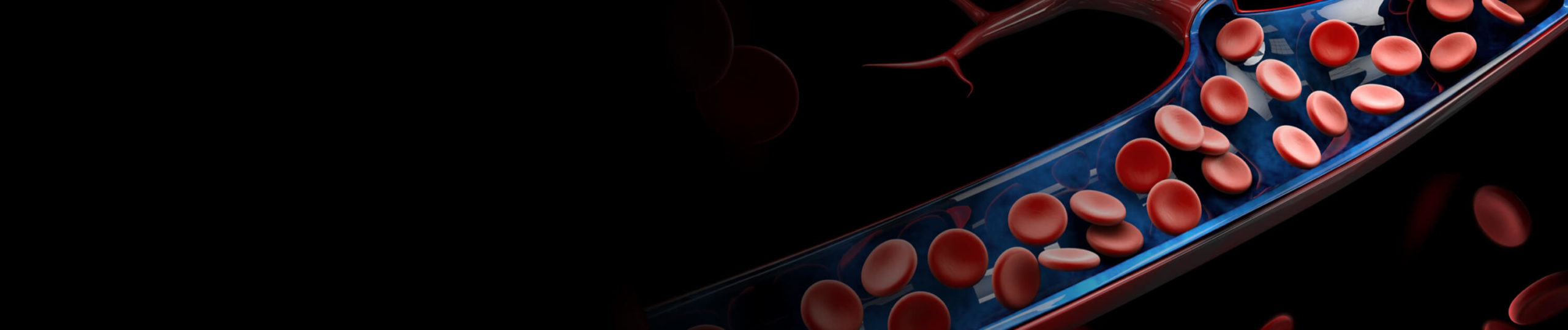 Visualization - Service Excellence by Kinetic Vision